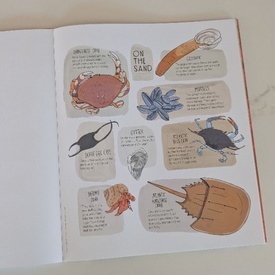 Nature Anatomy Posters by Julia Rothman