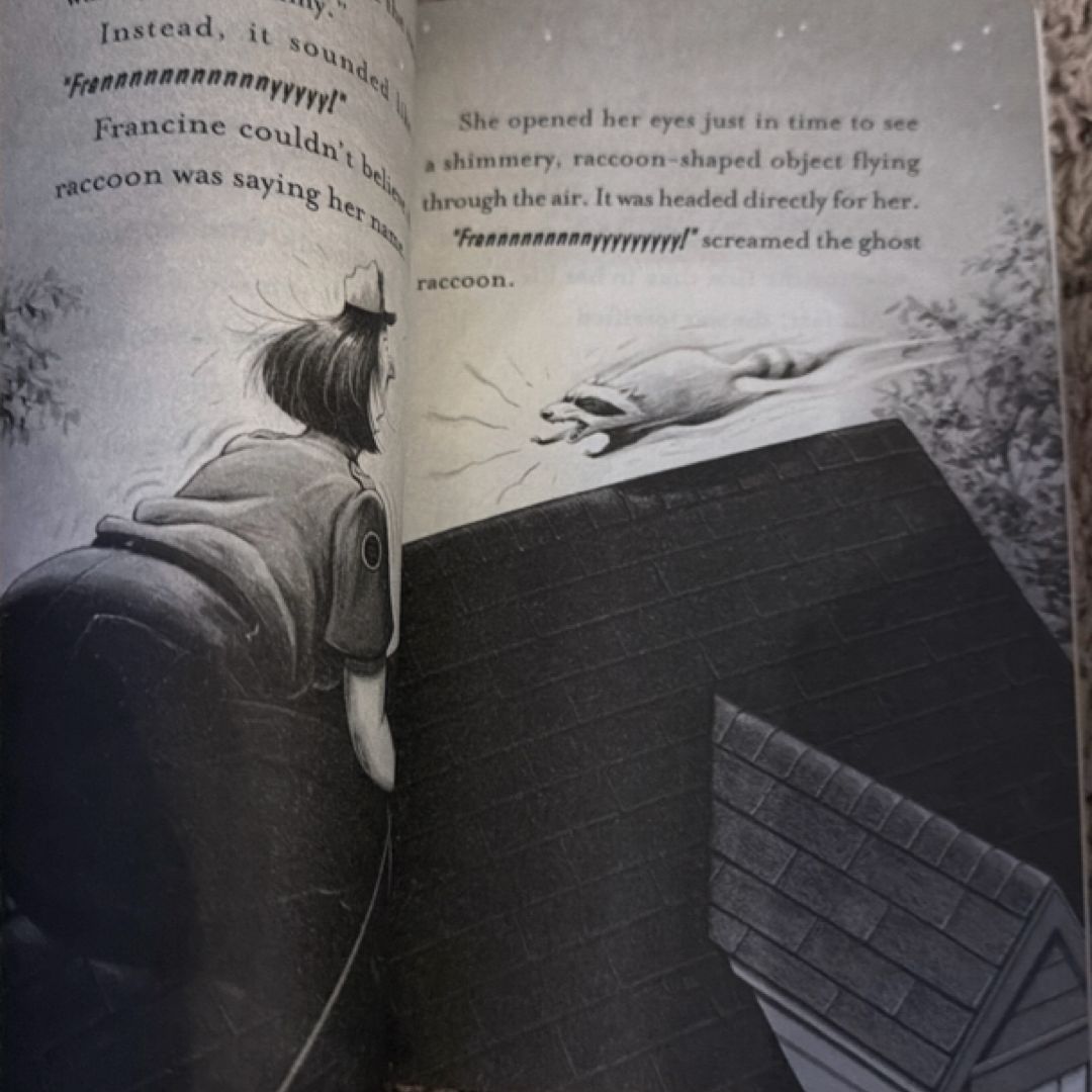 Francine Poulet Meets the Ghost Raccoon by Kate DiCamillo