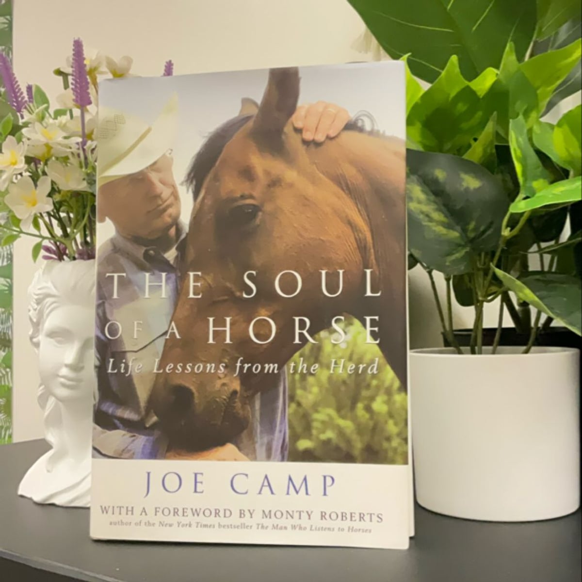 The Soul of a Horse by Joe Camp
