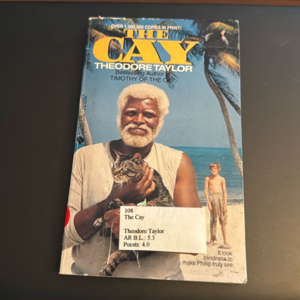 The Cay by Theodore Taylor, Paperback | PangoBooks