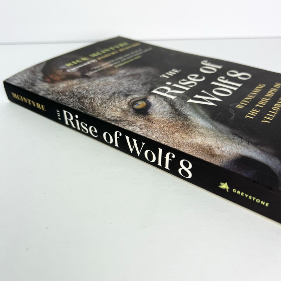 The Rise of Wolf 8 by Rick McIntyre, Robert Redford