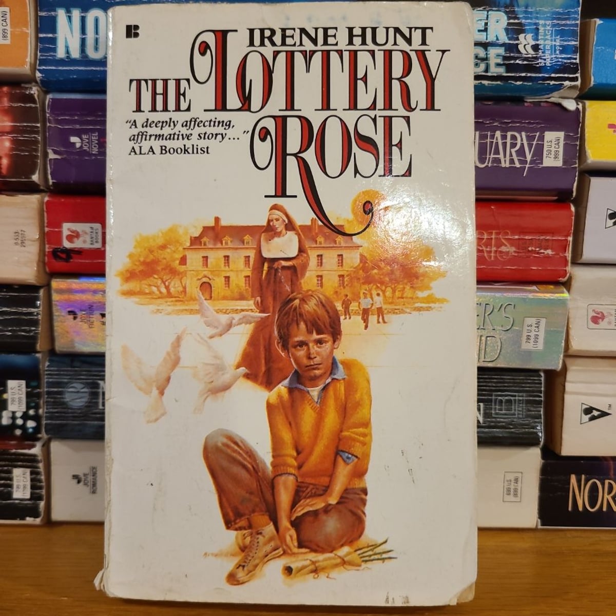 The Lottery Rose by Irene Hunt