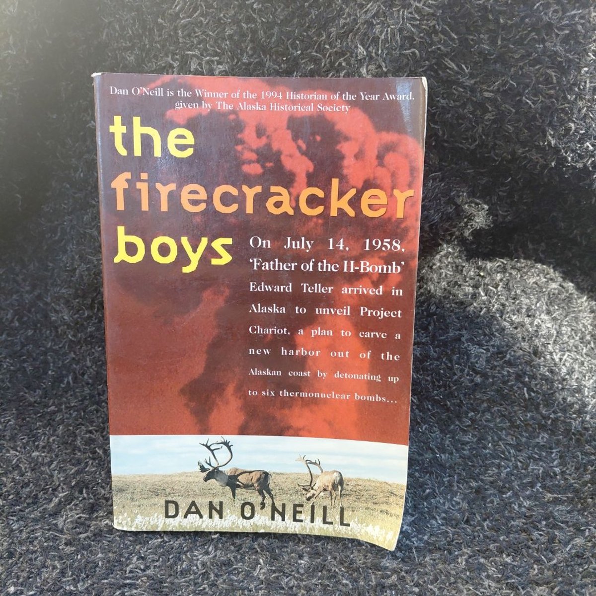 The Firecracker Boys by Dan O'Neill