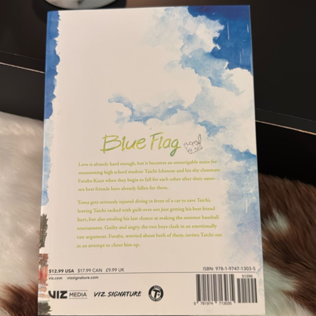 Blue Flag, Vol. 3 by KAITO, Paperback | Pangobooks