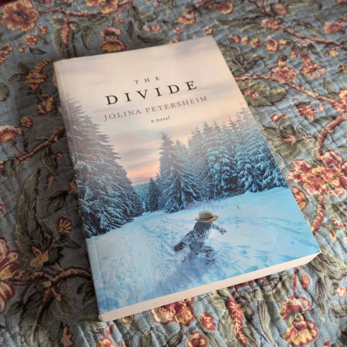 The Divide by Jolina Petersheim
