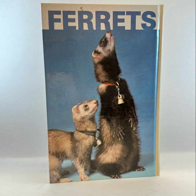 Ferrets by Wendy Winsted, Hardcover | Pangobooks