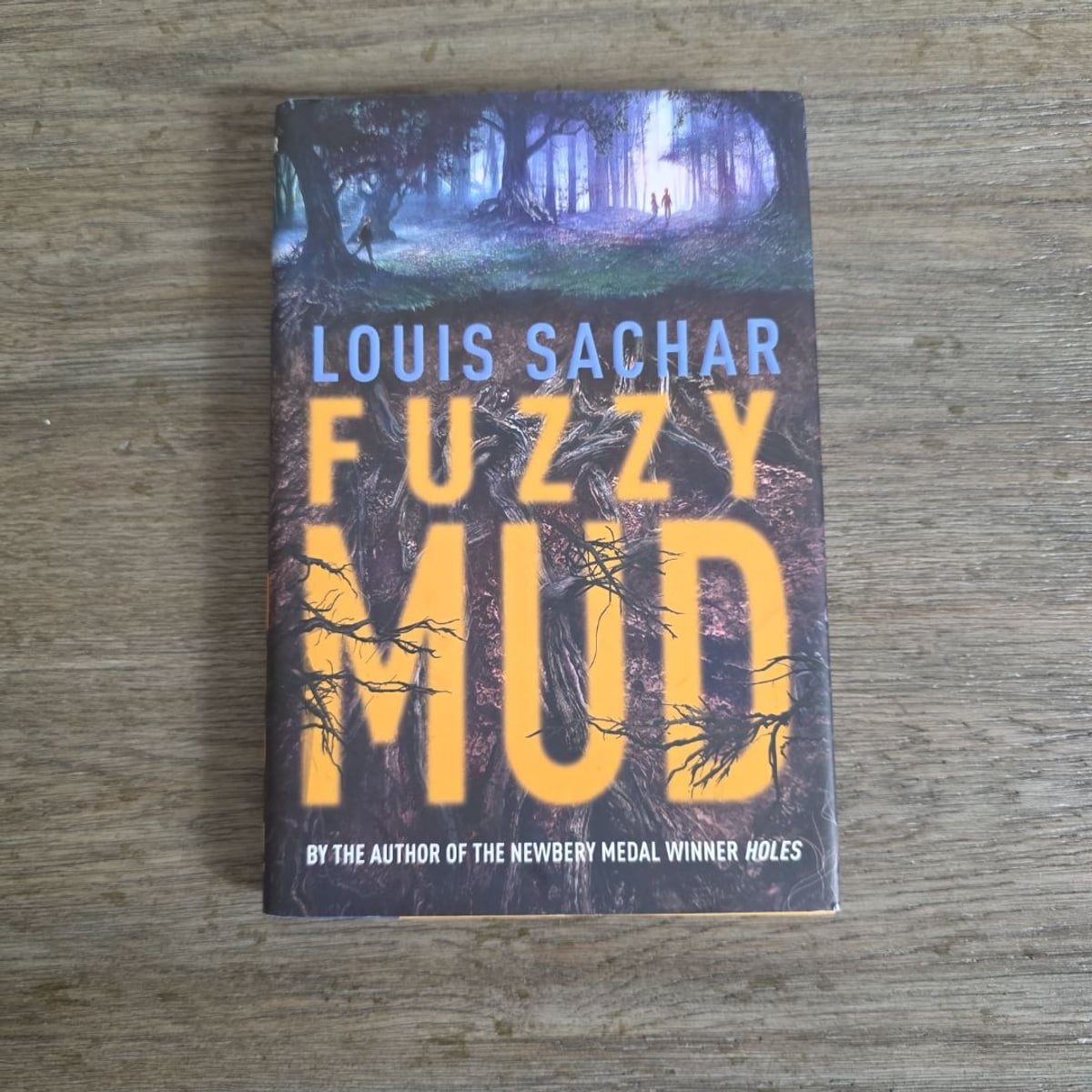 Fuzzy Mud by Louis Sachar