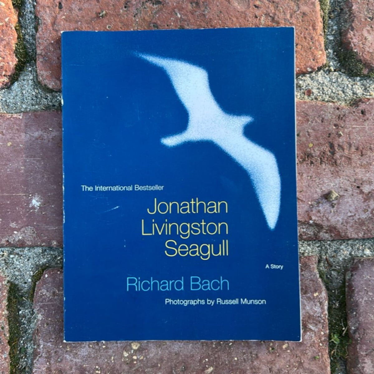 Jonathan Livingston Seagull by Richard Bach; Russell Munson (By ...