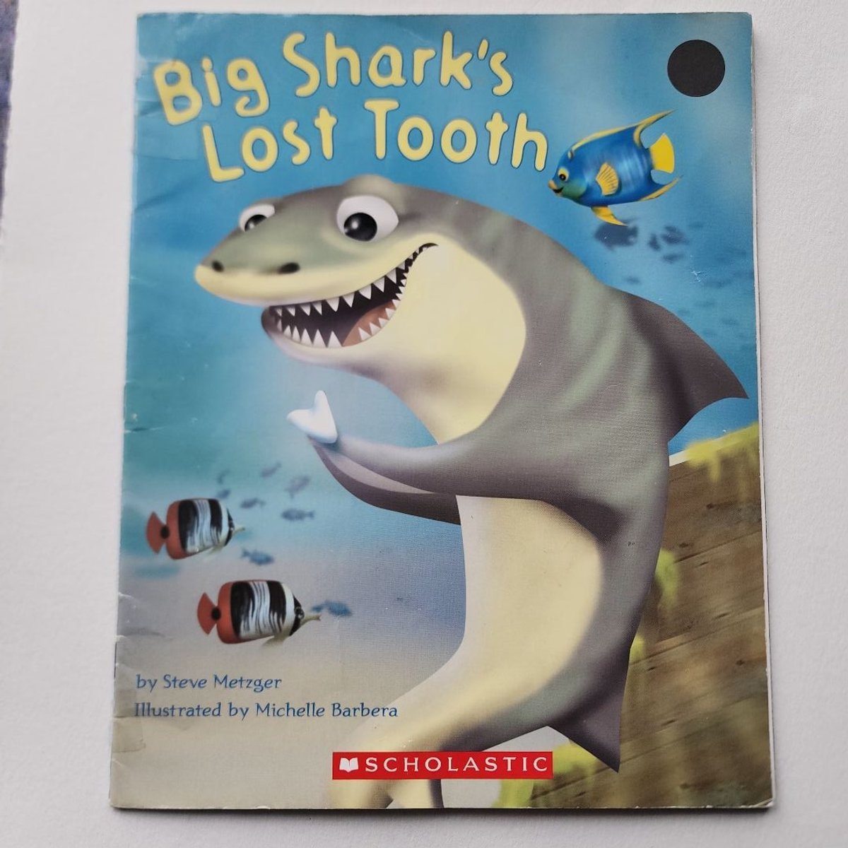 Big Shark's Lost Tooth by Steve Metzger