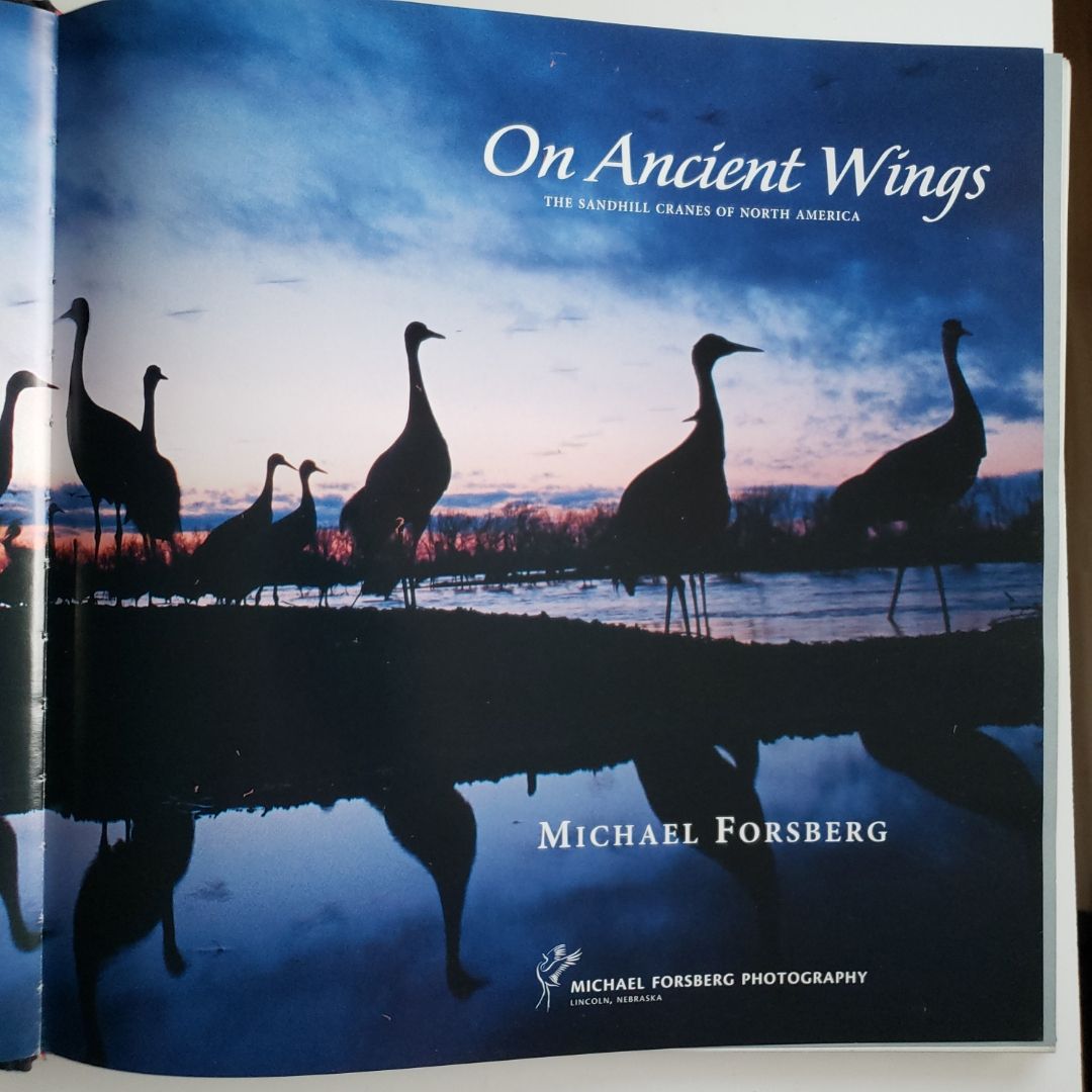 On Ancient Wings by Michael Forsberg, James Harris, George Archibald