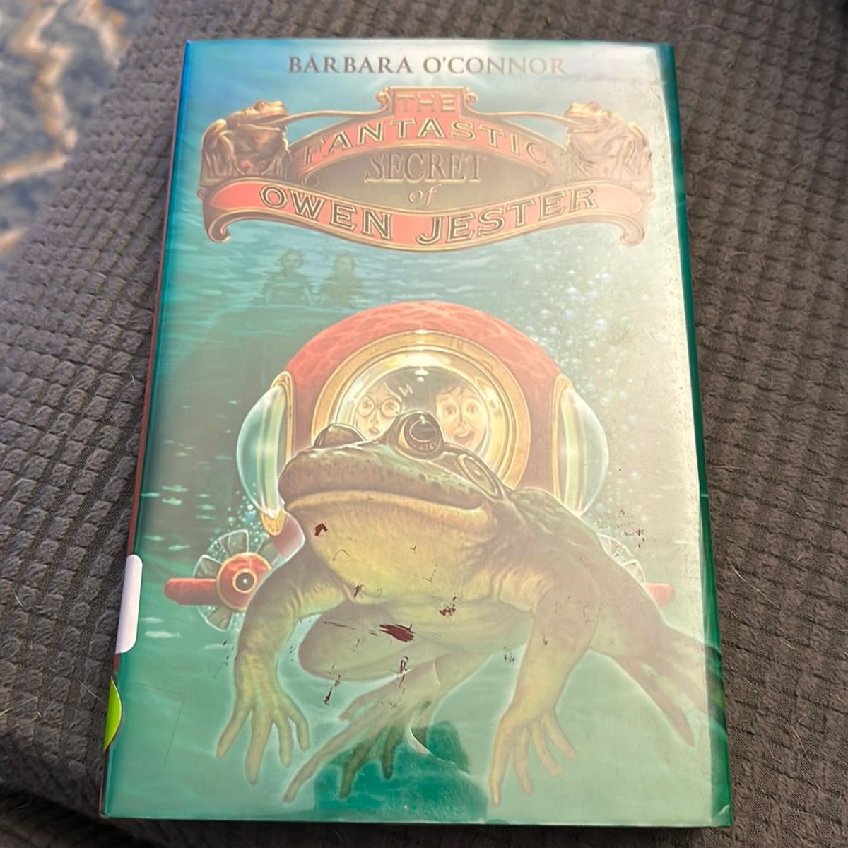 The Fantastic Secret of Owen Jester by Barbara O'Connor