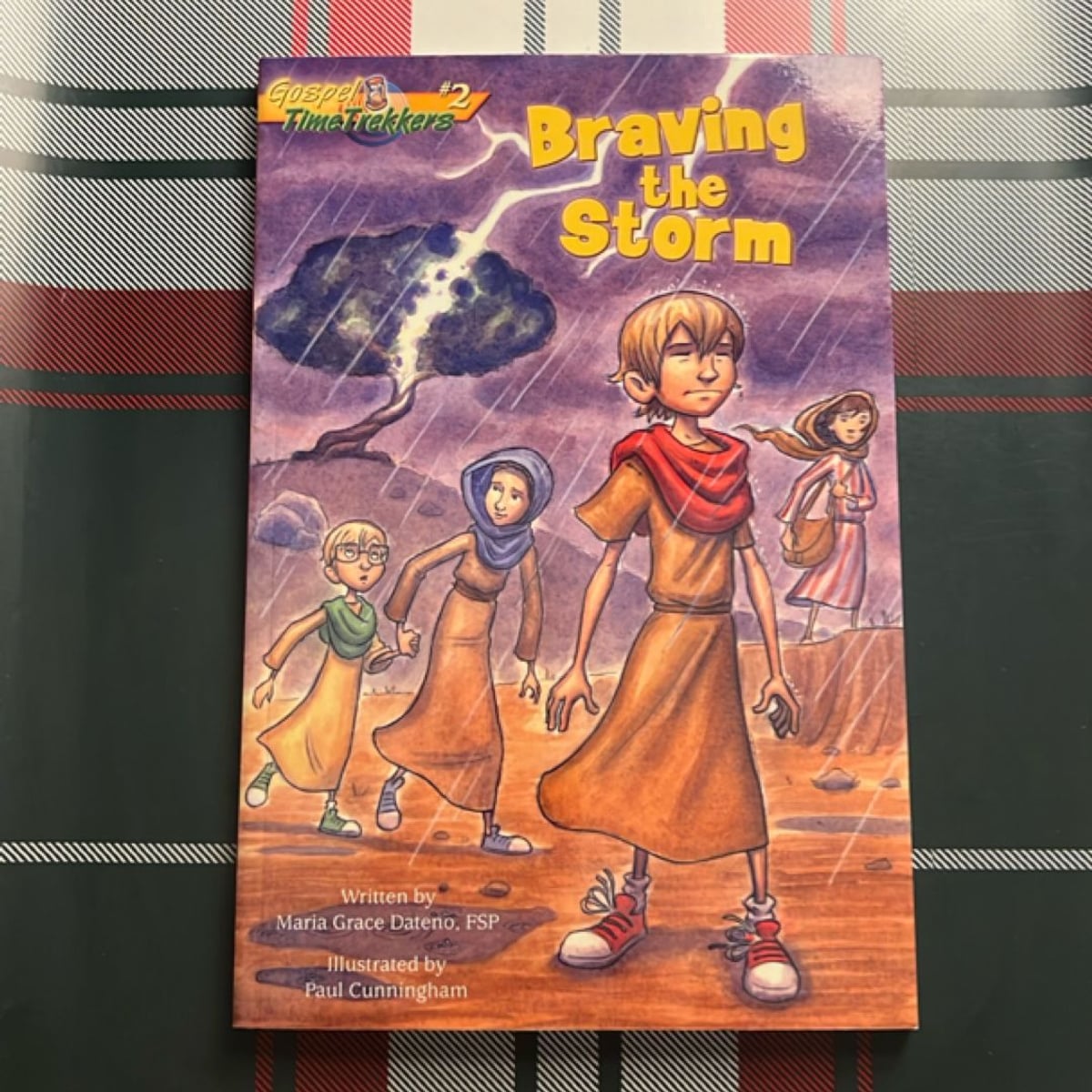 Braving the Storm by Maria Grace Dateno