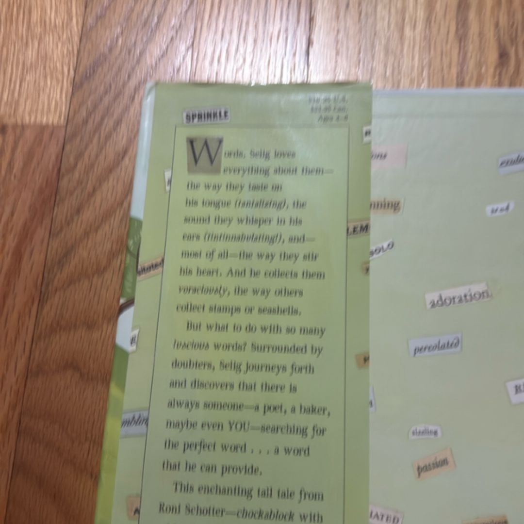 The Boy Who Loved Words by Roni Schotter