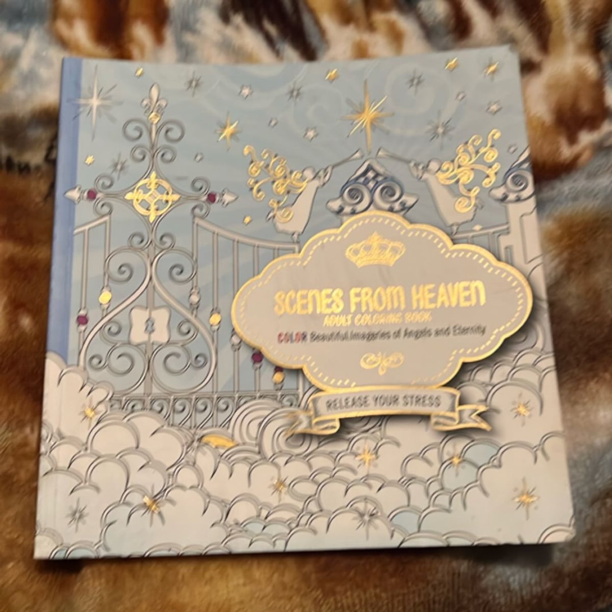 Scenes from Heaven Adult Coloring Book by Charisma House