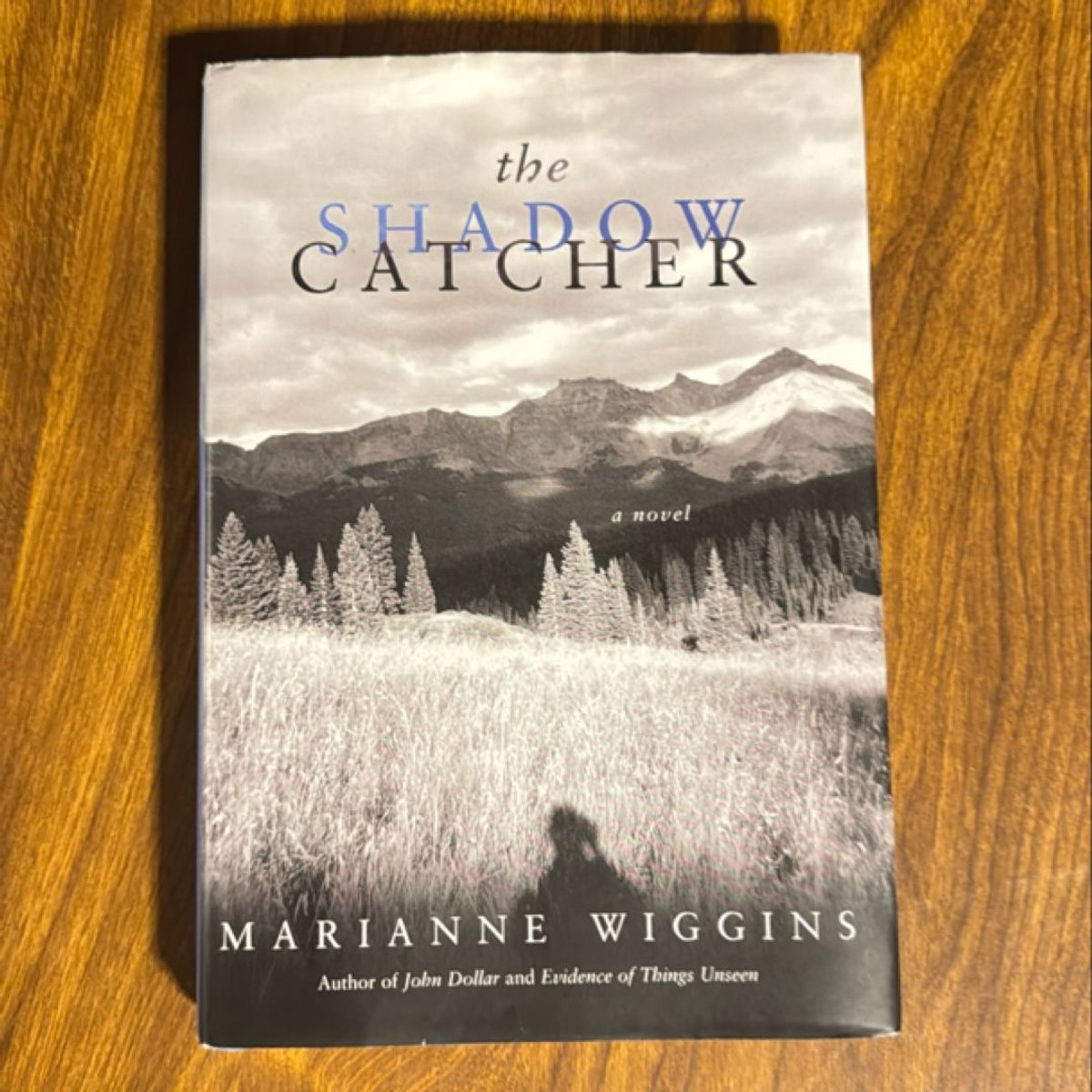 The Shadow Catcher by Marianne Wiggins