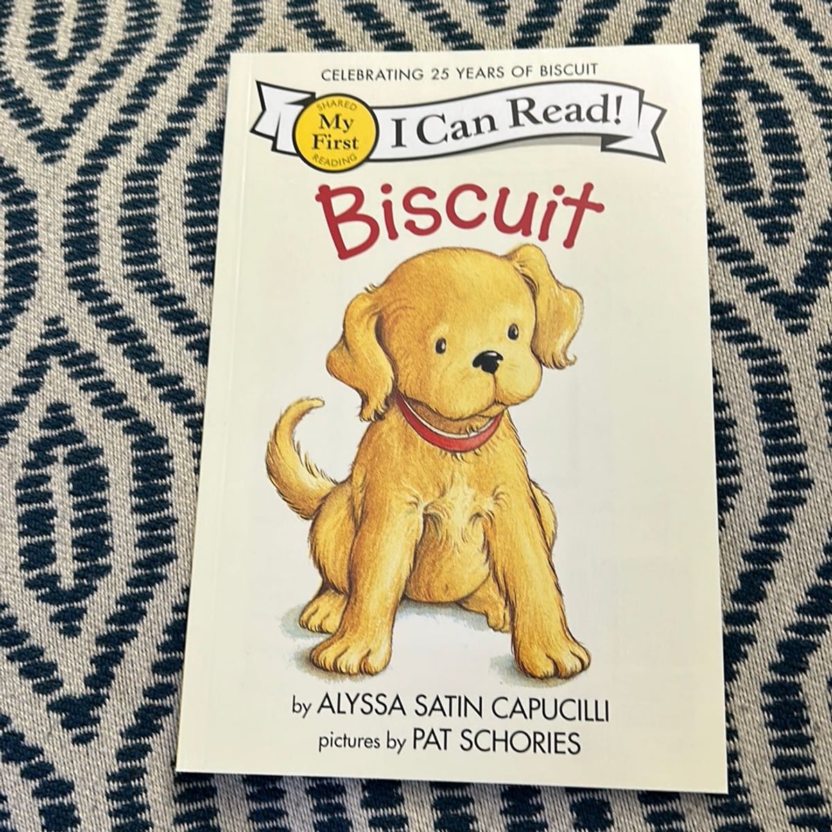 Biscuit by Alyssa Satin Capucilli; Pat Schories (Illustrator)