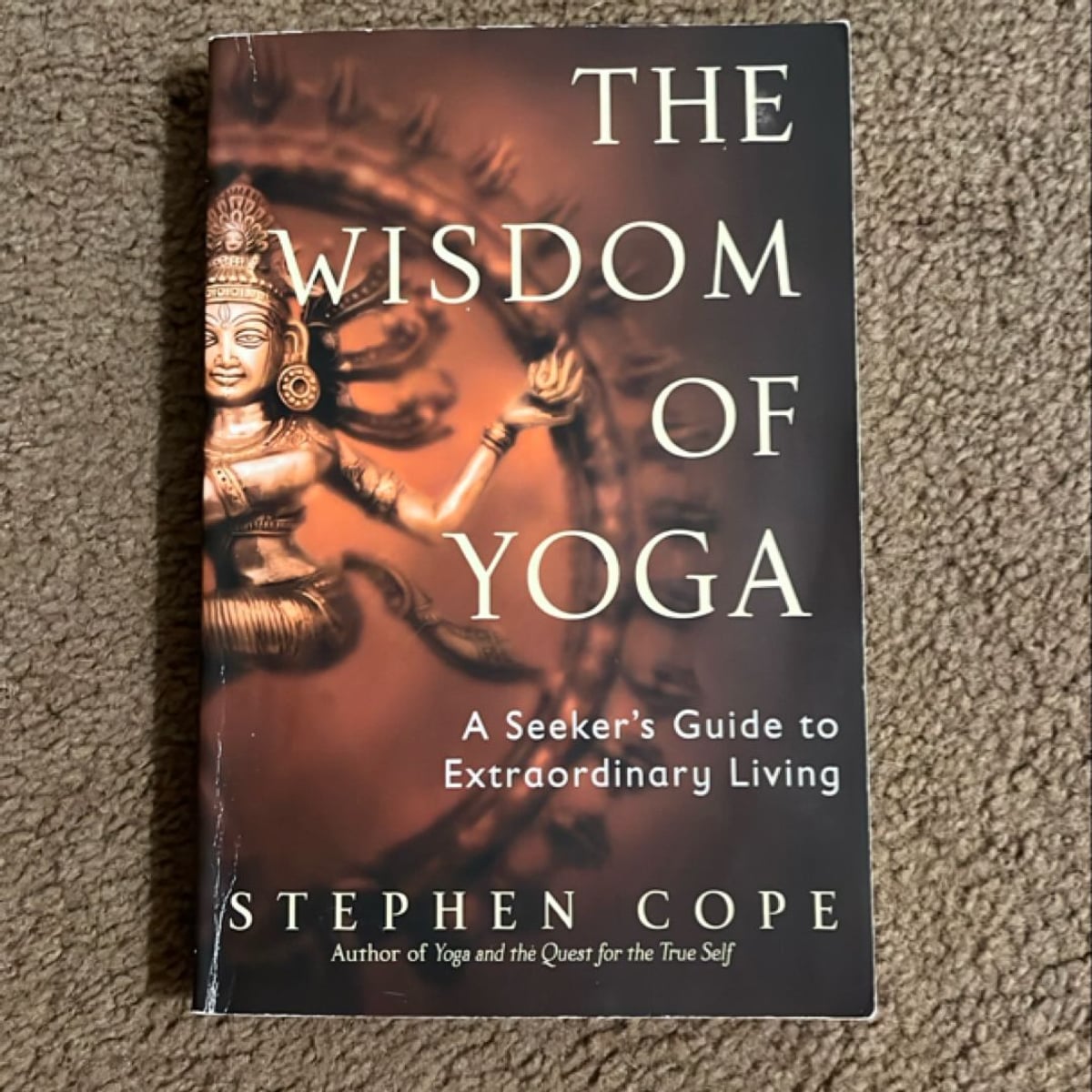 The Wisdom of Yoga by Stephen Cope