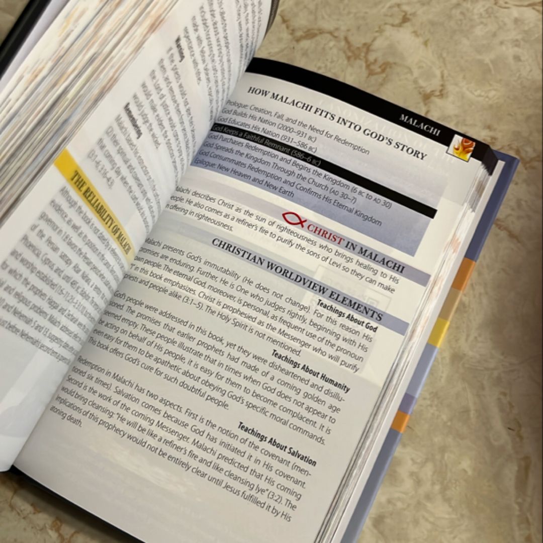 Holman Illustrated Bible Handbook by B&H Editorial Staff