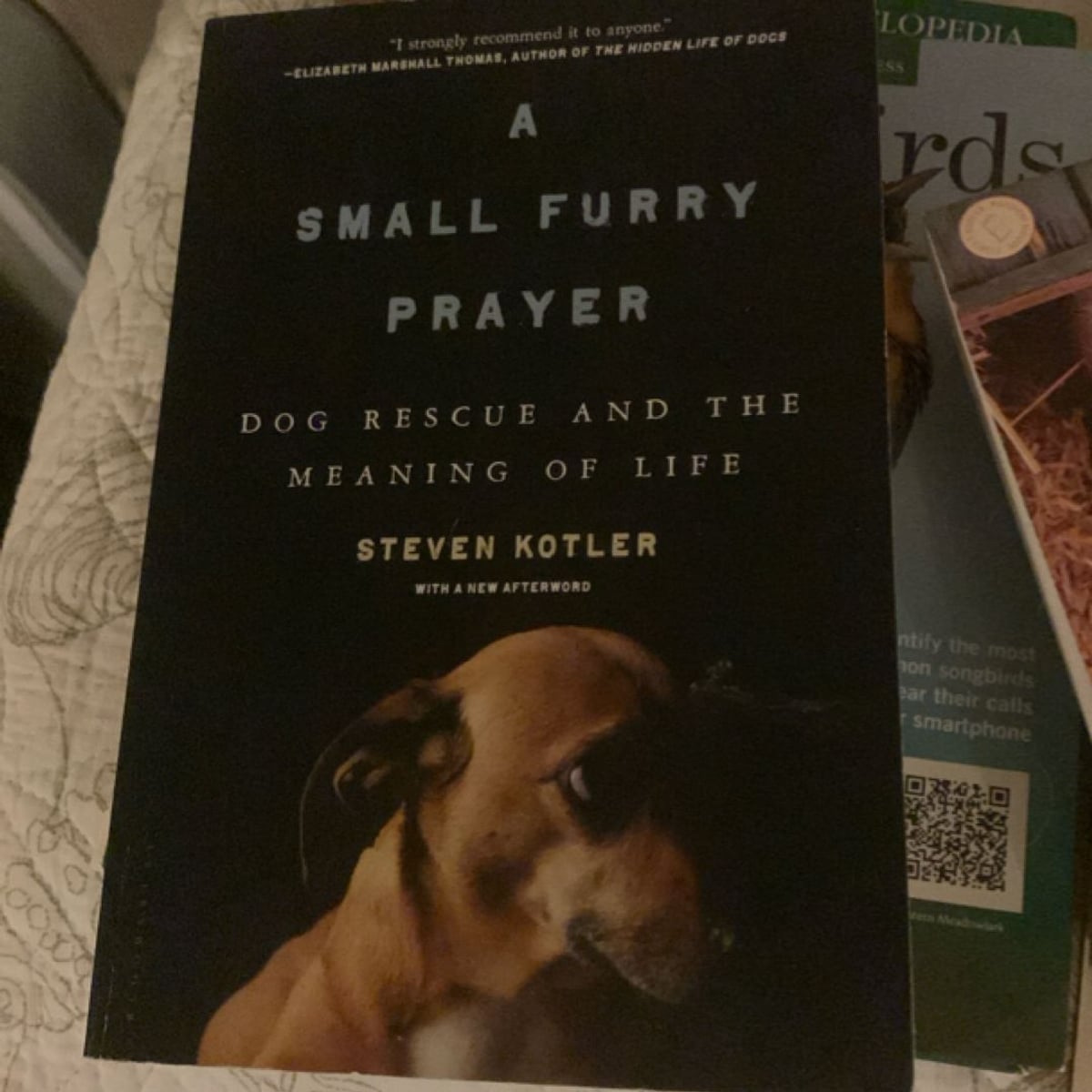 A Small Furry Prayer by Steven Kotler